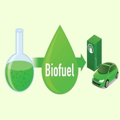 Corteva eyes hybrid wheat for India to free up land for biofuel crops - ChiniMandi