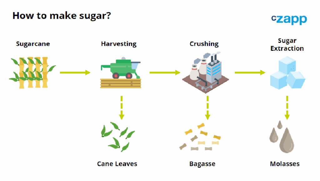 Ask The Analyst: What are the Leftover Products From Sugar Extraction ...
