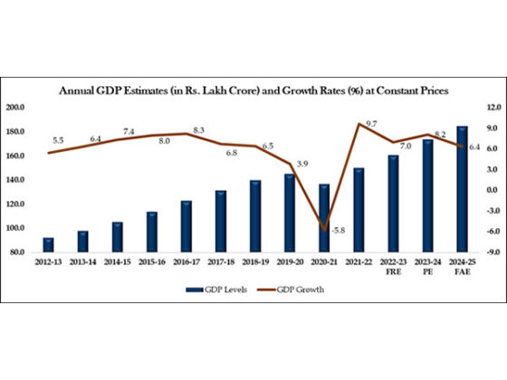 India's GDP to grow 6.4% in 2024-25 against 8.2% last fiscal, shows first government estimate ...