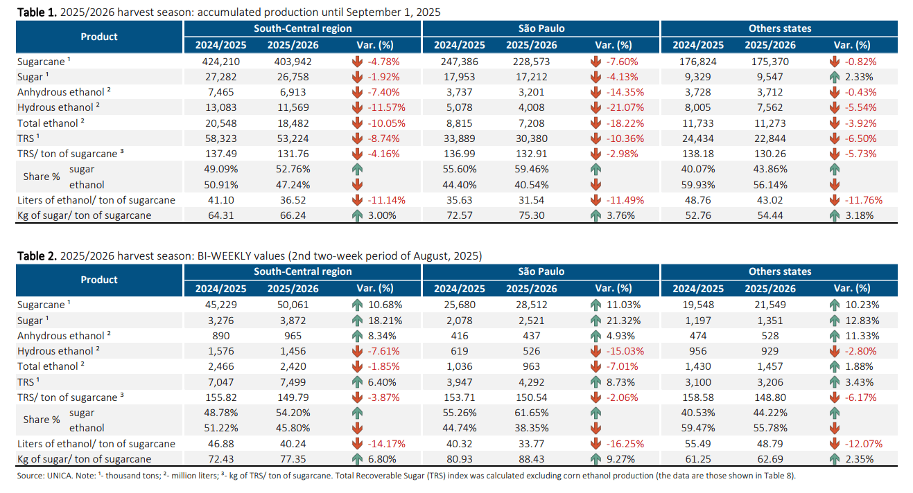 Brazil: Sugar production rises 18.2% in late August, says UNICA ...